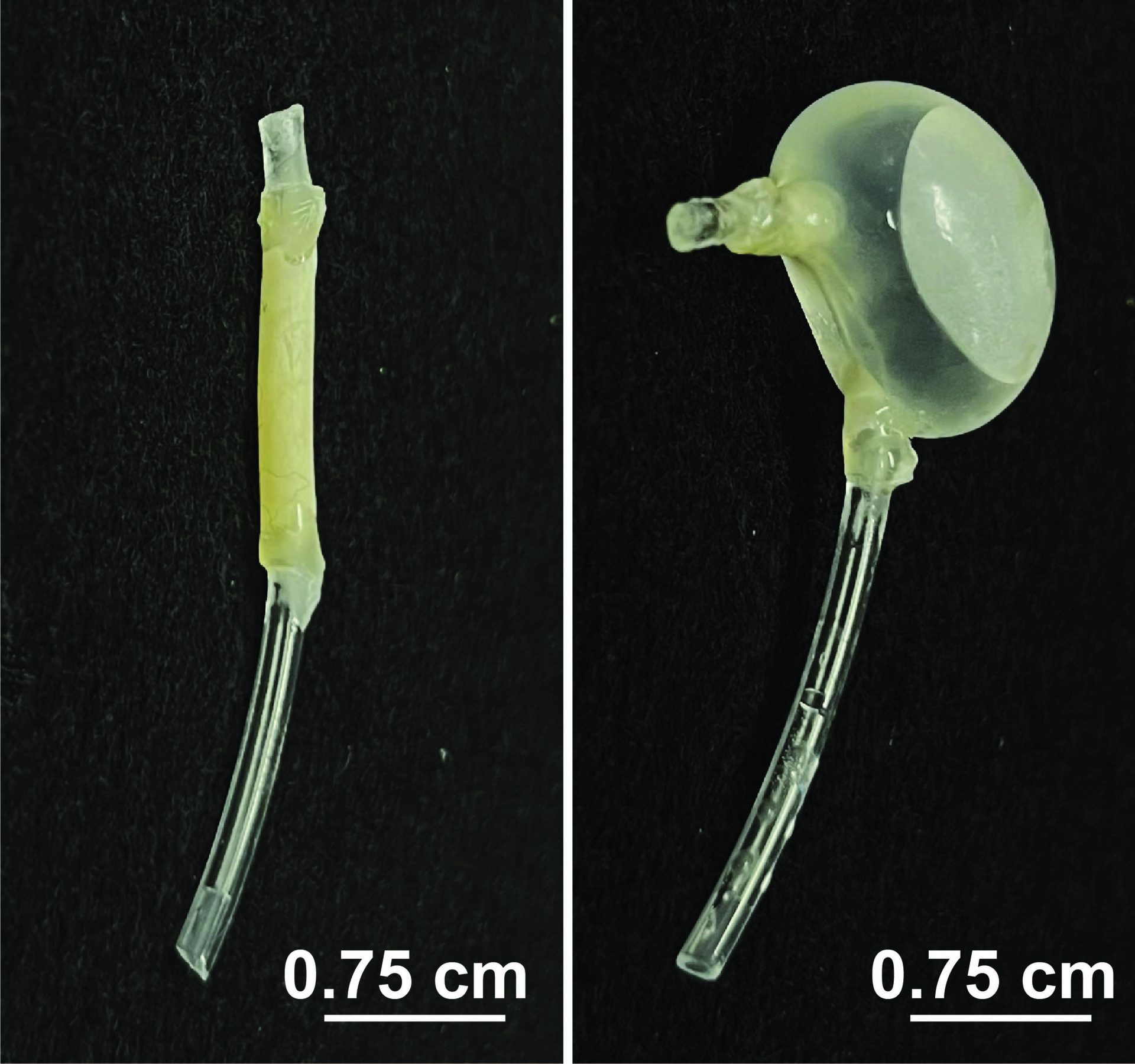 Innovative device could transform patient experience for intensive ...